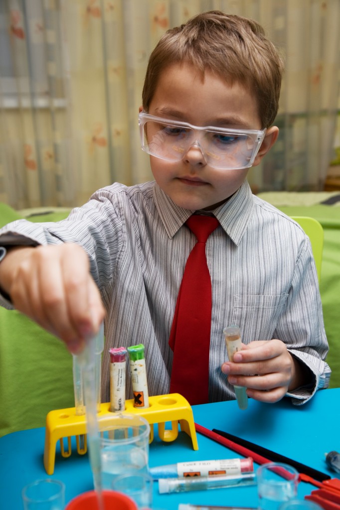 Understanding the Science of Dissection | Indigo Architect